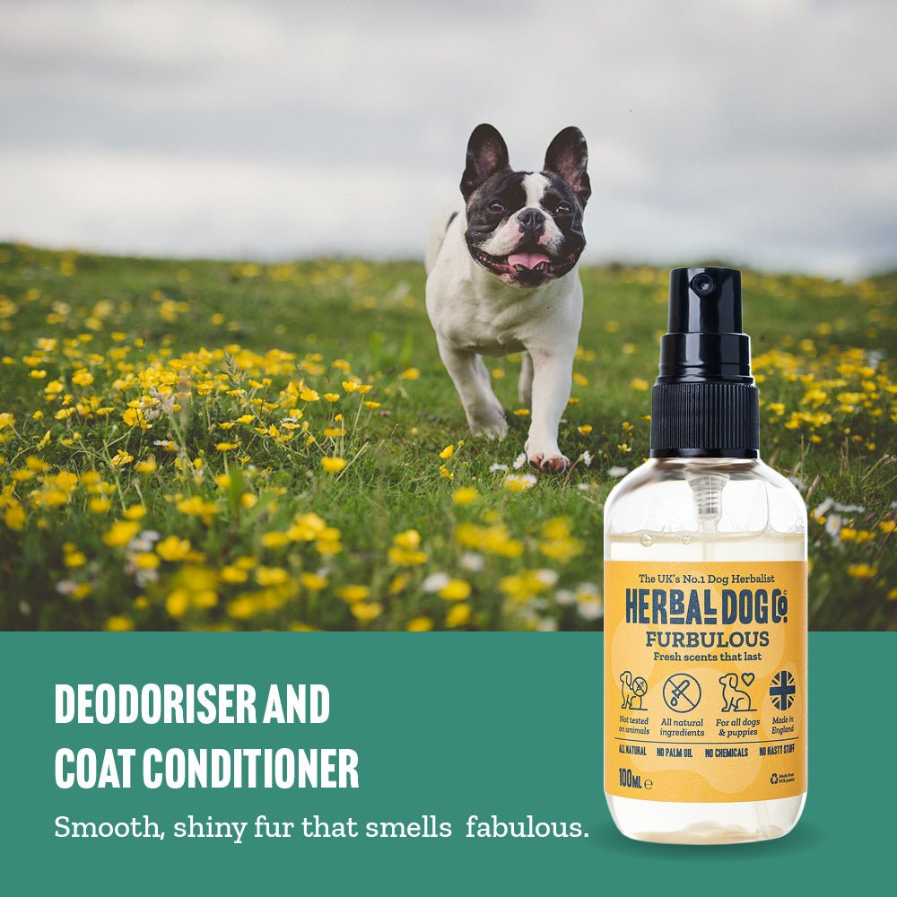 The Doggy Deli - Baby Powder Natural Dog Cologne Perfume Spray 100ml