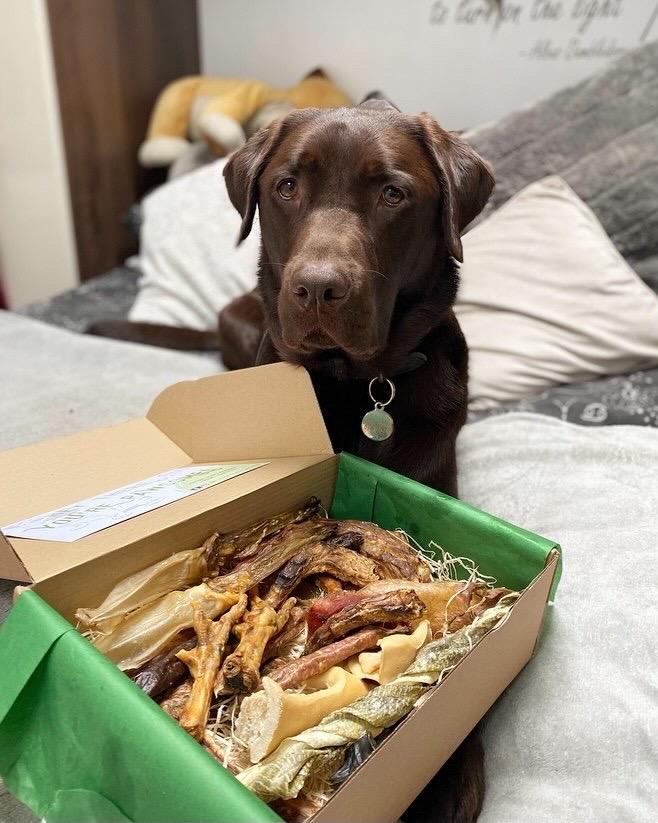 The Doggy Deli - Boredom Box - Natural Dog Treats Box