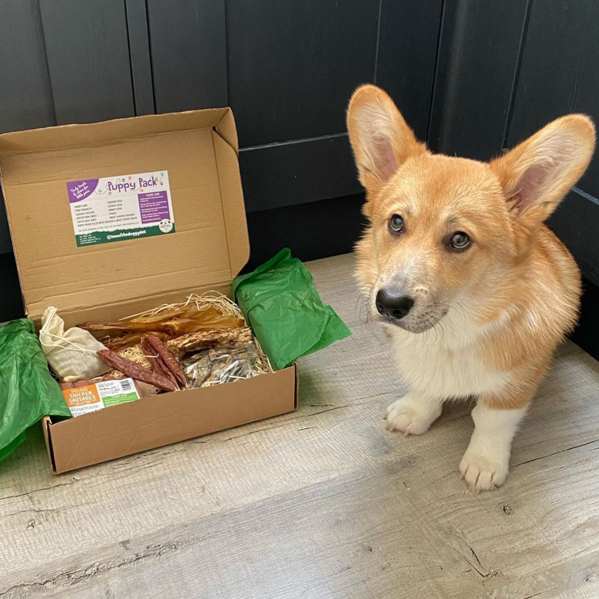 The Doggy Deli - Puppy Pack - Natural Dog Treats Box